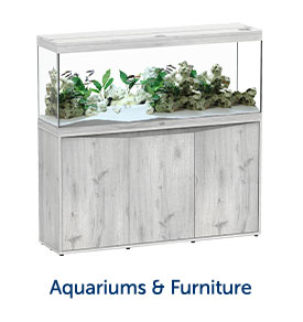 Big Al's - Aquarium, Reptile, Pond and Small Animal Specialists