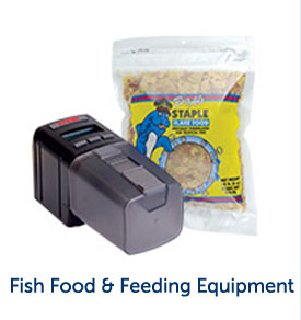 Big Al's - Aquarium, Reptile, Pond and Small Animal Specialists