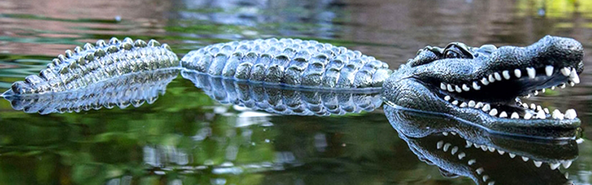 Pond Pests and How to Control Them